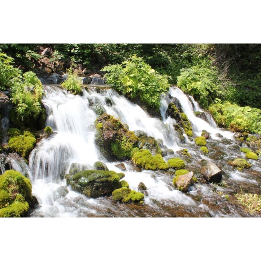 セイコーマート Secoma 京極の名水 2L 2リットル 6本 セコマ 北海道 羊蹄山 軟水 ナチュラルミネラルウォーター 箱買い : 700400000001 : セイコーマート ヤフー ...