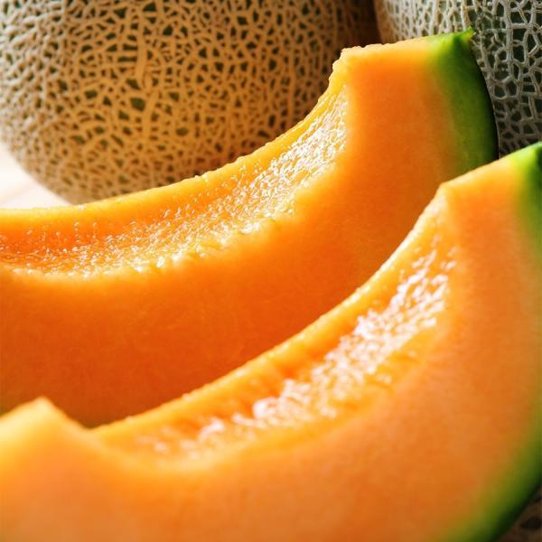 Secoma セイコーマート サワーあま〜いセレクト12本セット 送料無料 : セイコーマート ヤフーショッピング店 - 通販 - Yahoo!ショッピング