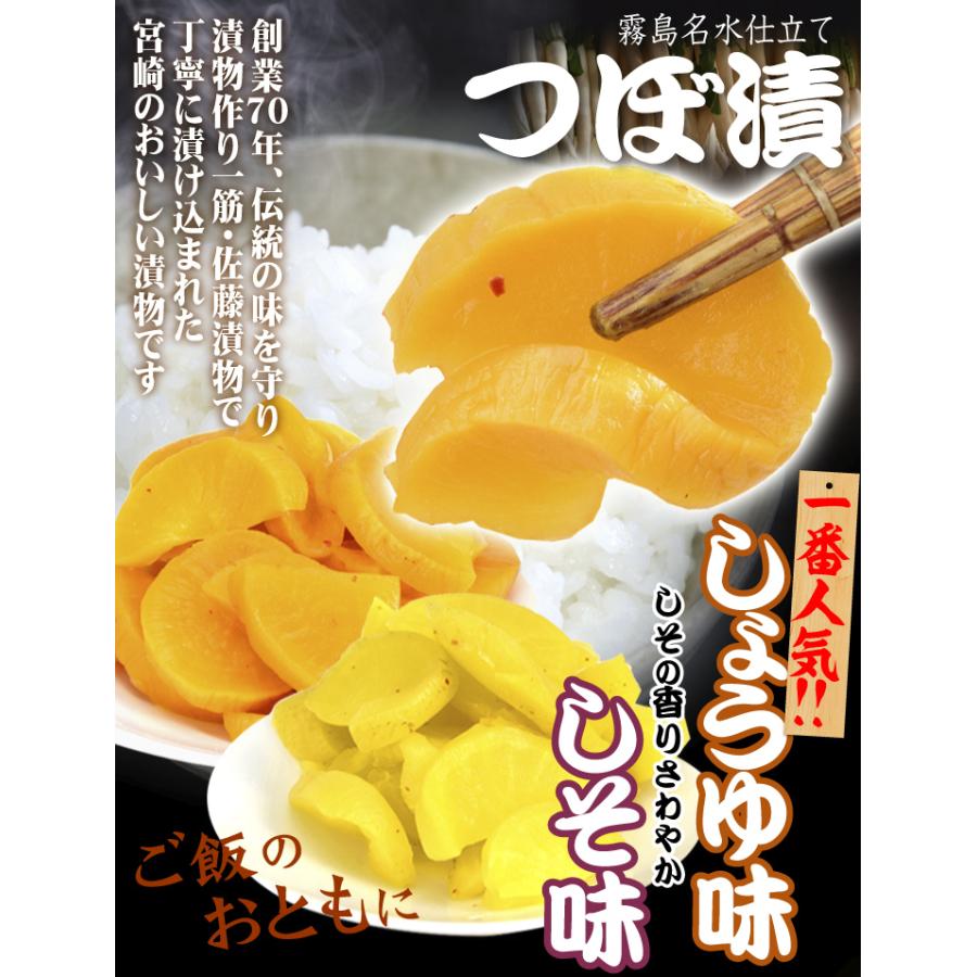 漬物 つぼ漬 700g (350g×2袋) 選べる しそ味 しょうゆ味 佐藤漬物 メール便 送料無料 : 食みらい・国華園 - 通販 - Yahoo!ショッピング