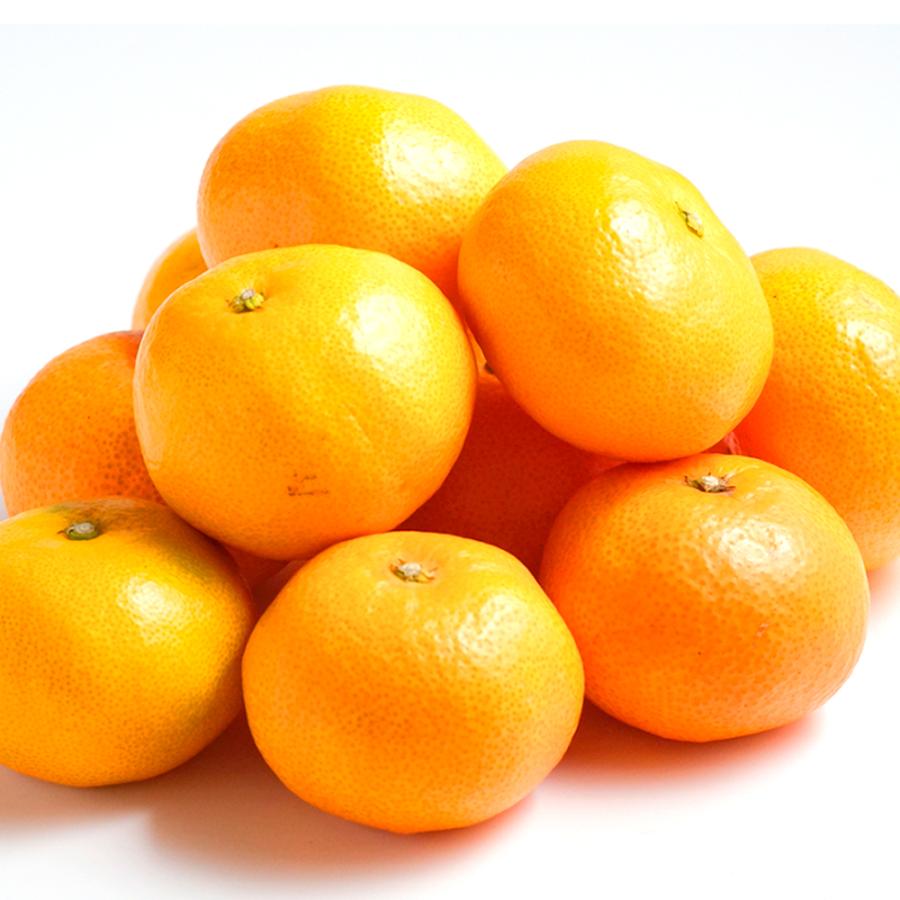 みかん 1kg 熊本産 ハウスみかん ご家庭用 温州 蜜柑 柑橘 温室栽培 温州みかん 2S~2L 無選別 送料無料 食品 国華園 : 食みらい・国華園 - 通販 - Yahoo!ショッピング