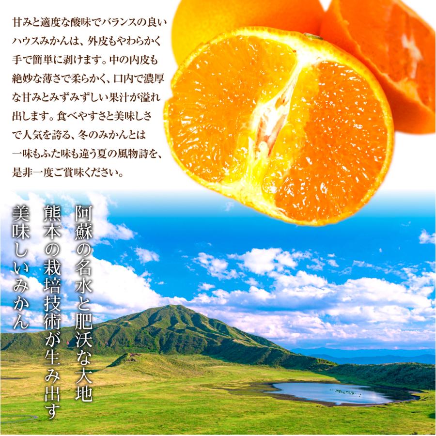 みかん 1kg 熊本産 ハウスみかん ご家庭用 温州 蜜柑 柑橘 温室栽培 温州みかん 2S~2L 無選別 送料無料 食品 国華園 : 食みらい・国華園 - 通販 - Yahoo!ショッピング