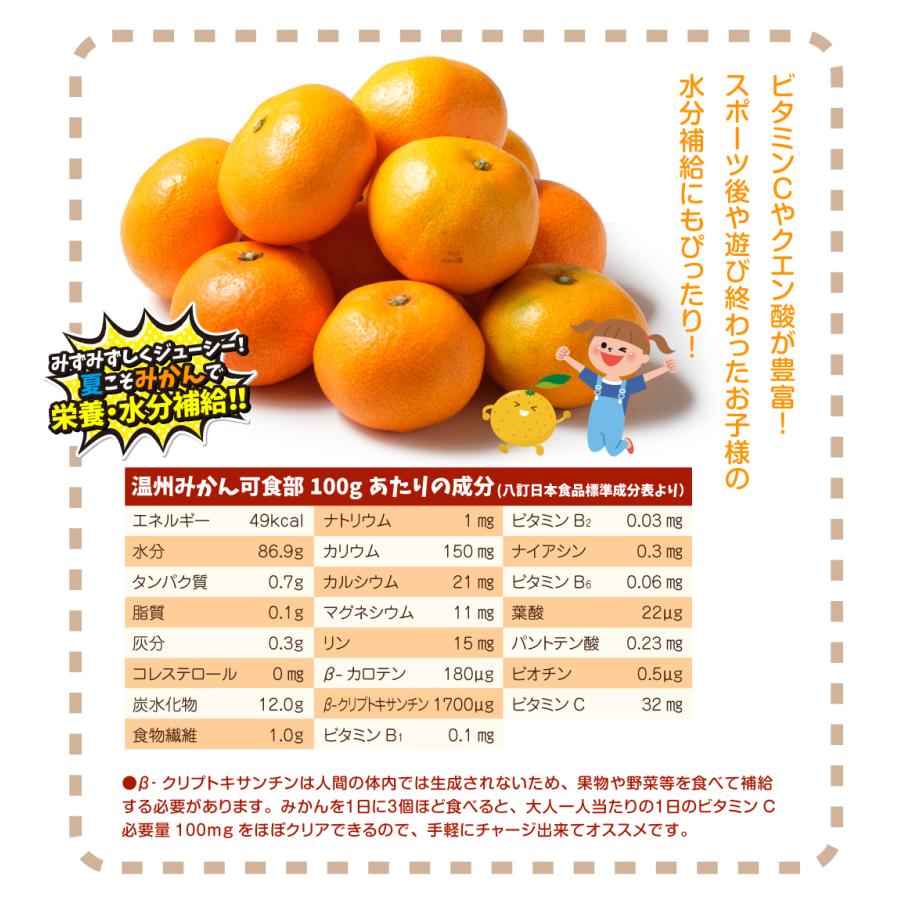 みかん 1kg 熊本産 ハウスみかん ご家庭用 温州 蜜柑 柑橘 温室栽培 温州みかん 2S~2L 無選別 送料無料 食品 国華園 : 食みらい・国華園 - 通販 - Yahoo!ショッピング