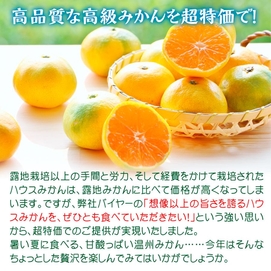 みかん 1kg 熊本産 ハウスみかん ご家庭用 温州 蜜柑 柑橘 温室栽培 温州みかん 2S~2L 無選別 送料無料 食品 国華園 : 食みらい・国華園 - 通販 - Yahoo!ショッピング