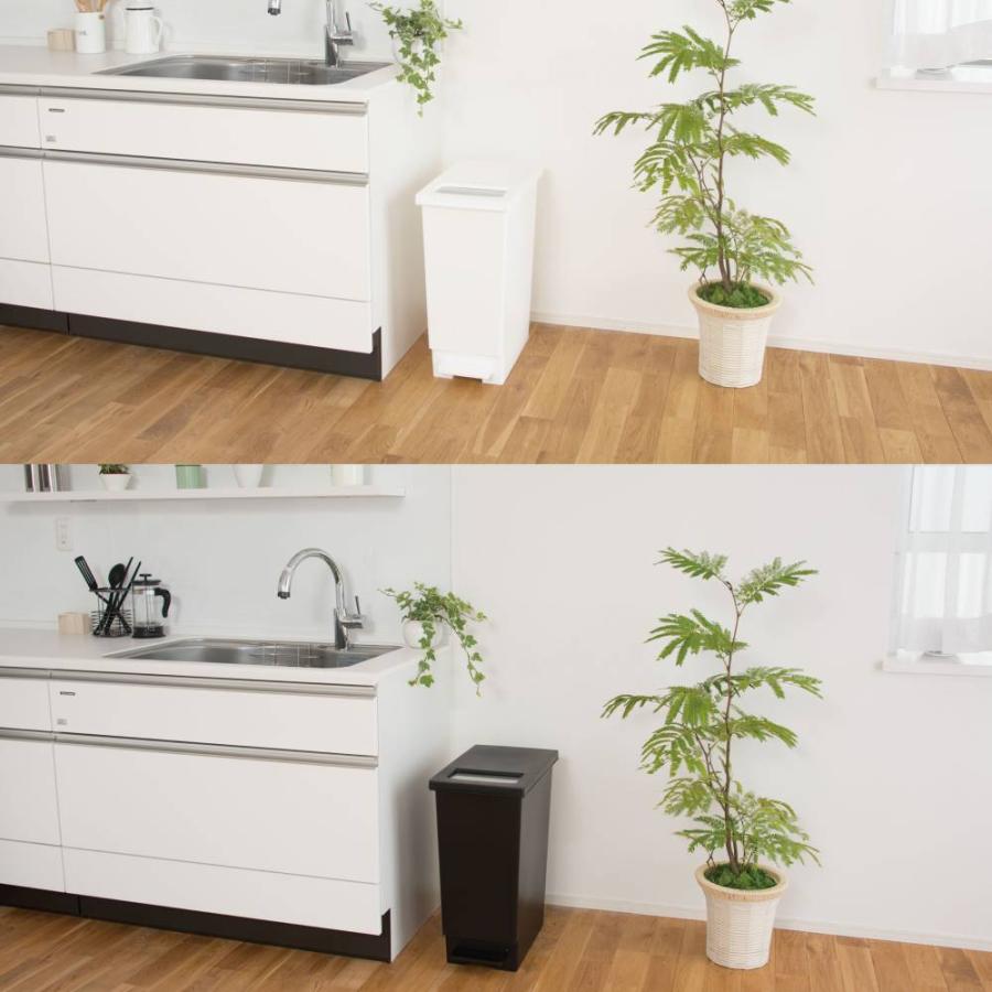 法人限定 】 2WAY ユニード プッシュ & ペダル 45型 45L 組立式 DS-453-045 TERAMOTO テラモト | ごみ箱 ゴミ箱 : 生活空間 - 通販 - Yahoo ...