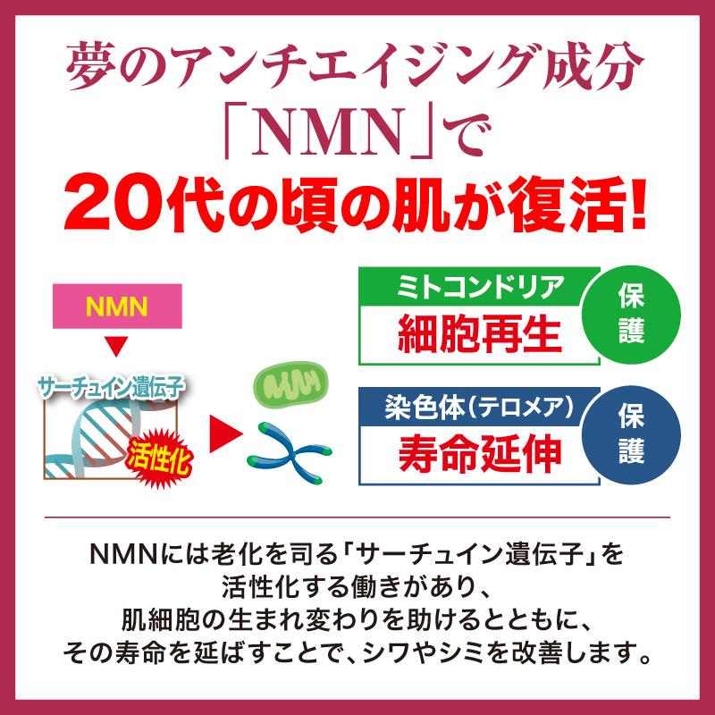 NMNオールインワンゲル 280g : seimeikenkou - 通販 - Yahoo!ショッピング