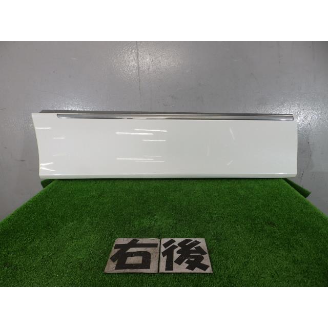 エルグランド DBA-TE52 右リアドアプロテクター QR25DE QAB 82870-1JB0A 232273 : 株式会社 西友商会 - 通販 - Yahoo!ショッピング