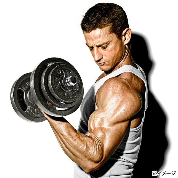 即日出荷 La-VIE ラ・ヴィ パワーダンベル 20kgセット 3B-3492 お一人様1個まで : 4986920349213 : セキチューヤフー店 - 通販 - Yahoo!ショッピング