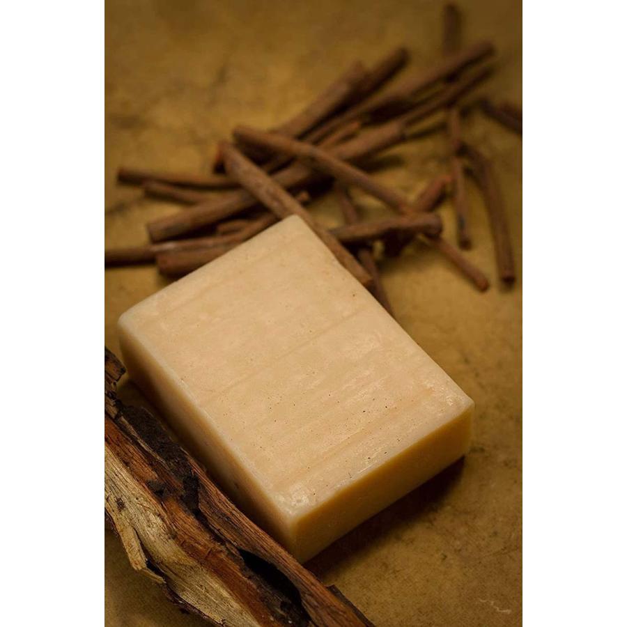 アーユルヴェーダ ニーブ DTXディリー ソープ 100g NEEV DTX Daily Soap : 自然派素材のせっけんワールド - 通販 ...