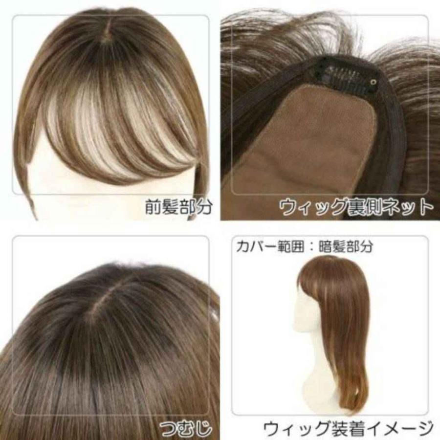 白髪隠し ウィッグ 女性 レディース プリシラ プレミアム ふんわりロングタイプ PRISILA :st-010:SelectBeauty Yahoo!店 - 通販 - Yahoo!ショッピング