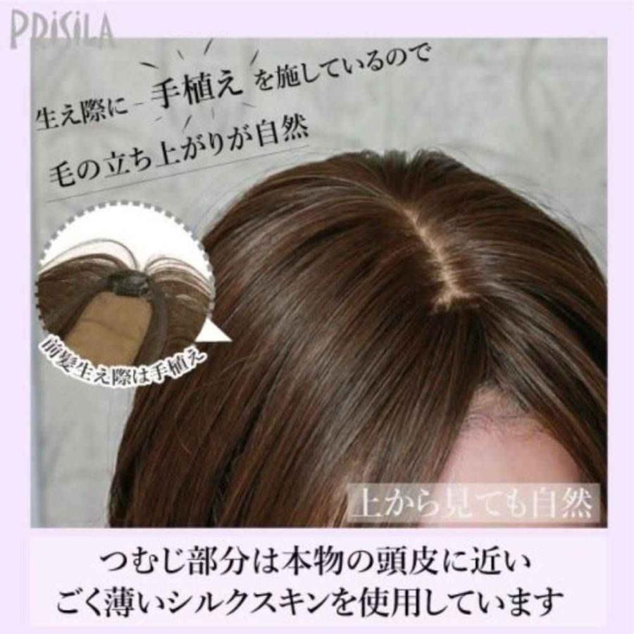 白髪隠し ウィッグ 女性 レディース プレミアム ワンレンロングタイプ プリシラ PRISILA :st-011:SelectBeauty Yahoo!店 - 通販 - Yahoo!ショッピング