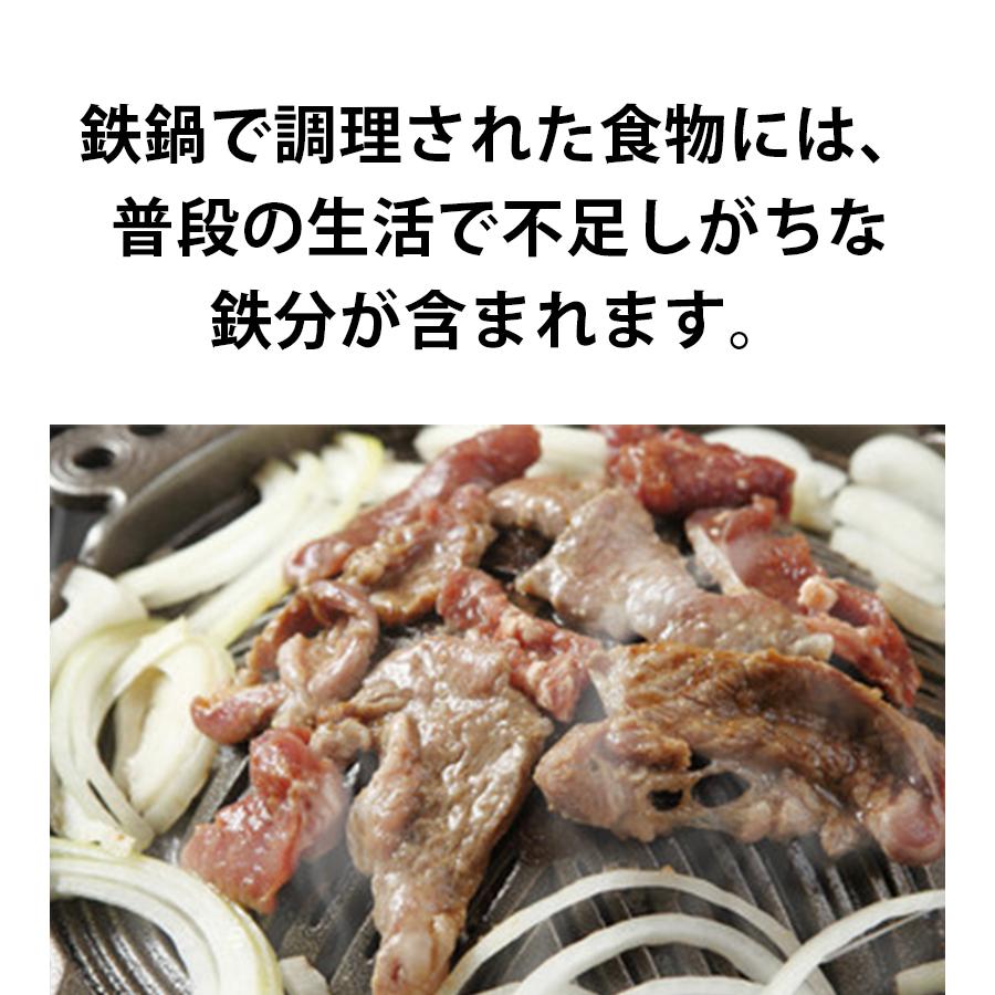 岩鋳 焼肉ジンギスカン鍋 直火用 南部鉄器 2-3人用 23006 南部ツル付 黒 ガス火 ギフト 贈り物 プレゼント 鉄分補給 鉄鍋 焚き火 キャンプ 焼き肉 日本製 : u519186 ...