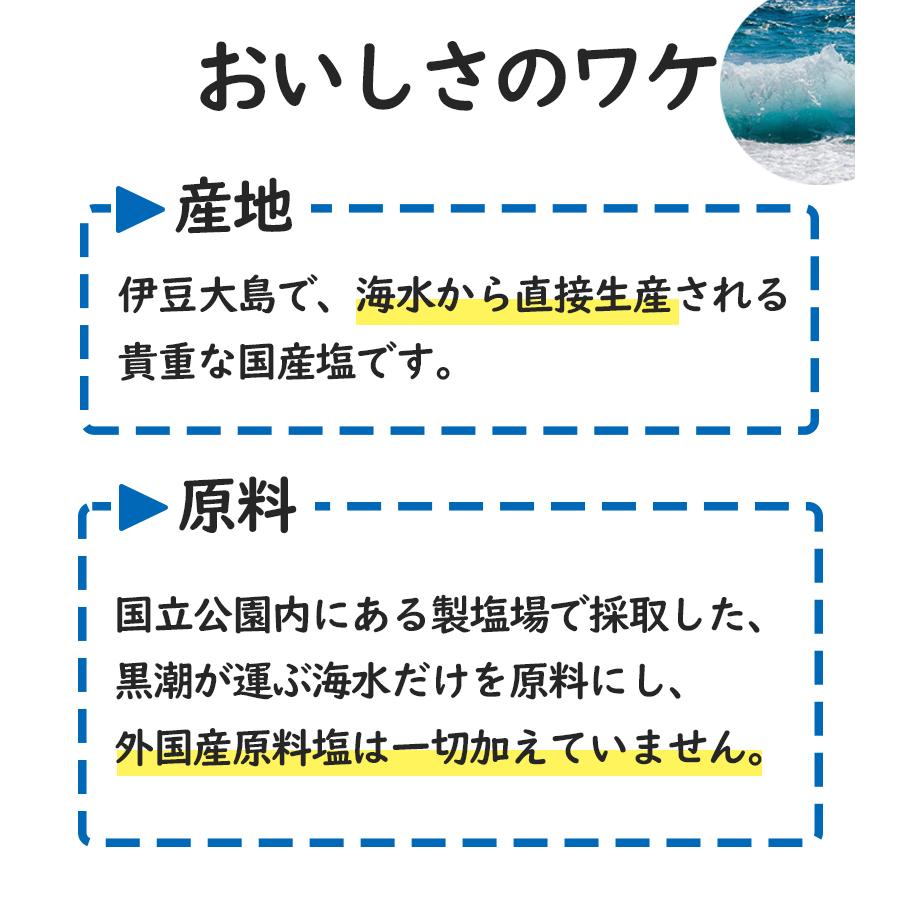 塩 国産 海の精 やきしお 540g 2個セット スタンドパック 調味料 焼き塩 ソルト焼塩 やきじお さらさら 肉料理 ステーキ おにぎり : ライフスタイル&生活雑貨のMofu - 通販 ...