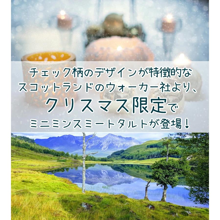 タルト ミニミンスミートタルト #3159 265g スイーツ 菓子 焼き菓子 おやつ 美味しい 定番 ホームパーティー クリスマス イギリス : ライフスタイル&生活雑貨のMofu - 通販 ...