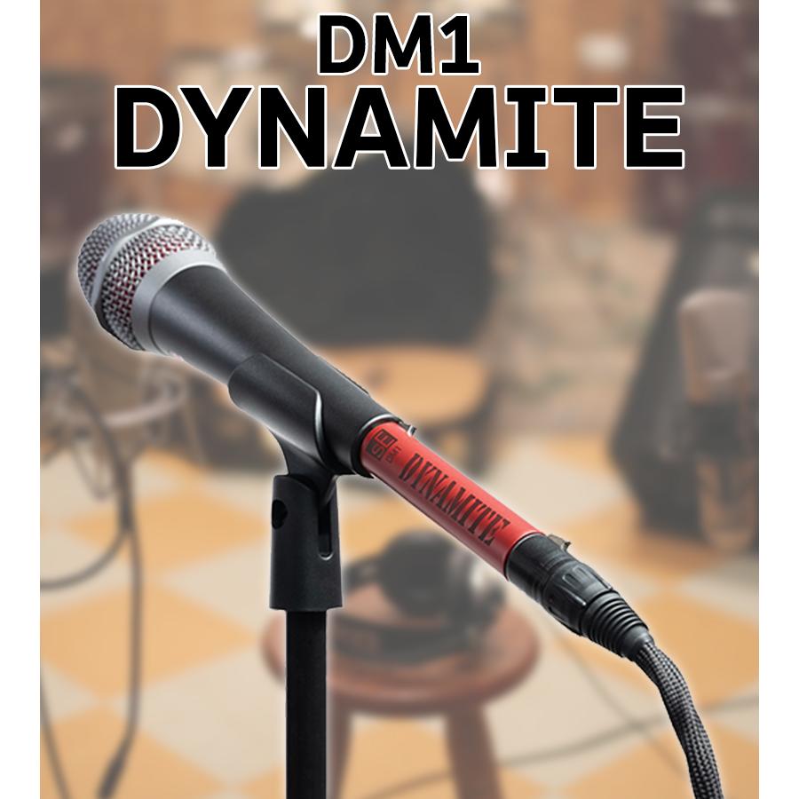 sE Electronics DM1 DYNAMITE マイク マイクプリアンプ 音響機器 DTM 録音 ライブ ライブハウス スタジオ ステージ 配信 YouTube YouTuber 歌っ ...