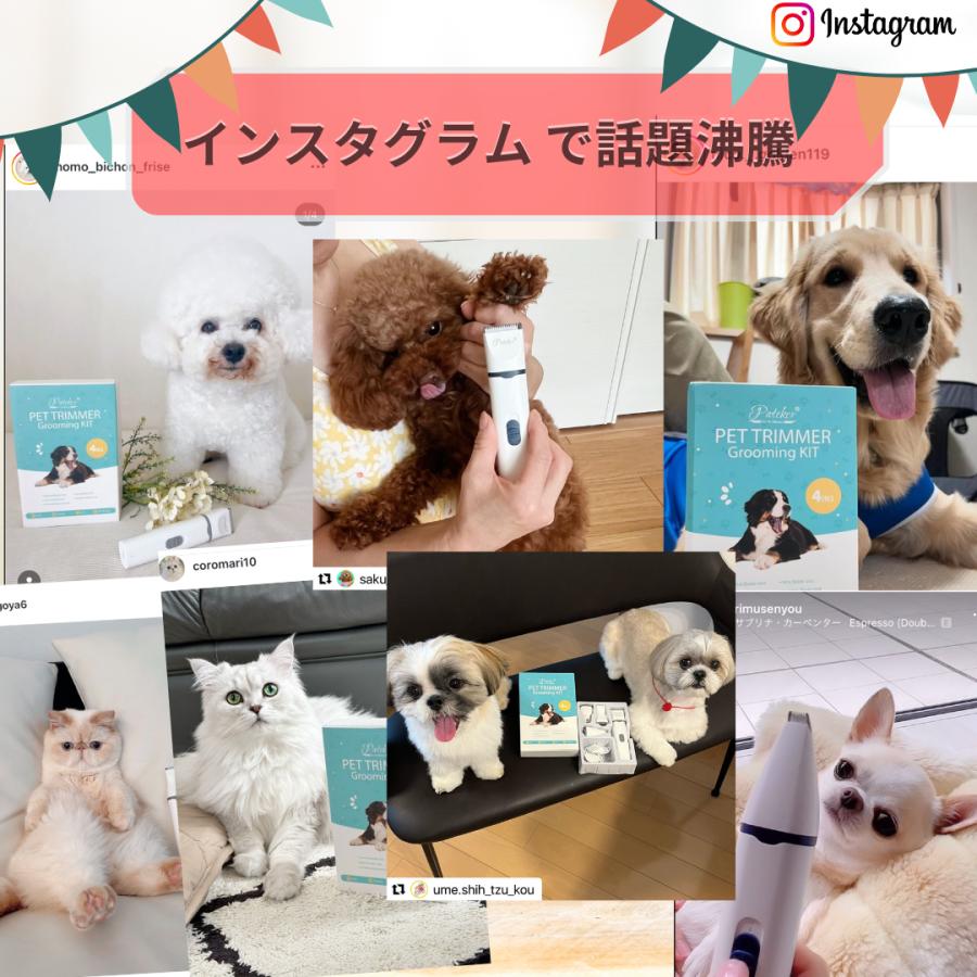 Pateker バリカンセットPateker 4in1 ペット 犬 猫 愛犬 トリミング ペットケア 爪切り 爪ヤスリ 多機能型 1台4役 : select shop crea - 通販 ...