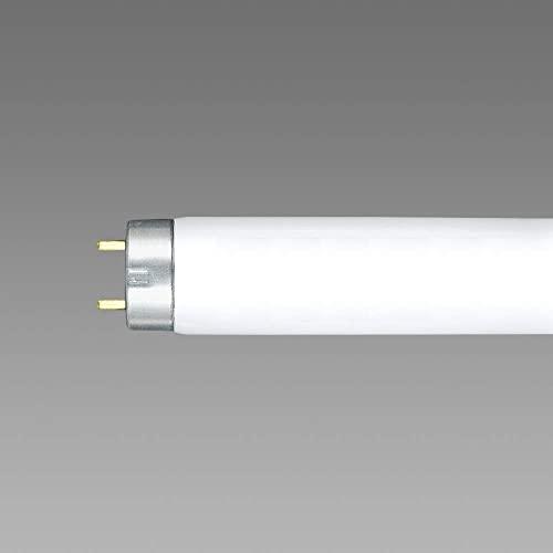 ホタルクス NECライティング FL10N : セレクトショップSakura - 通販 - Yahoo!ショッピング