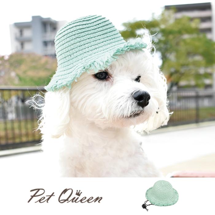 犬 PQ＋ ジェラートハット 春夏 ハット フリーサイズ 小型犬用 超小型犬用 紫外線対策 熱中症対策 : 犬の服 Selfish House ...