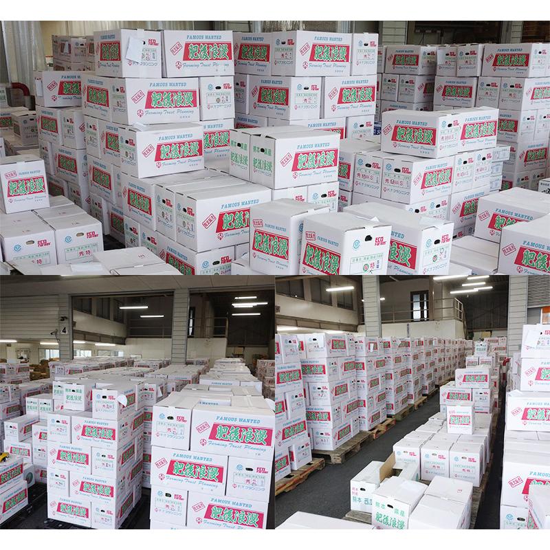 熊本産スイカ 肥後浪漫スイカ1玉（2L・3Lサイズ）(1玉約6?8kg) 送料無料 熊本 スイカ 果物ギフト ご贈答用 夏ギフト お祝い ご家庭用 :ku-008-4:鮮ど市場 - 通販 ...