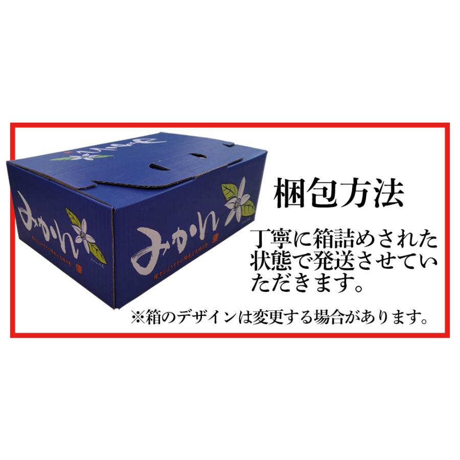 熊本産 青島 みかん3kg 3Lサイズ 送料無料 贈り物 ご贈答 お取り寄せ ご家庭用 みかん :ku-043-30:鮮ど市場 - 通販 - Yahoo!ショッピング