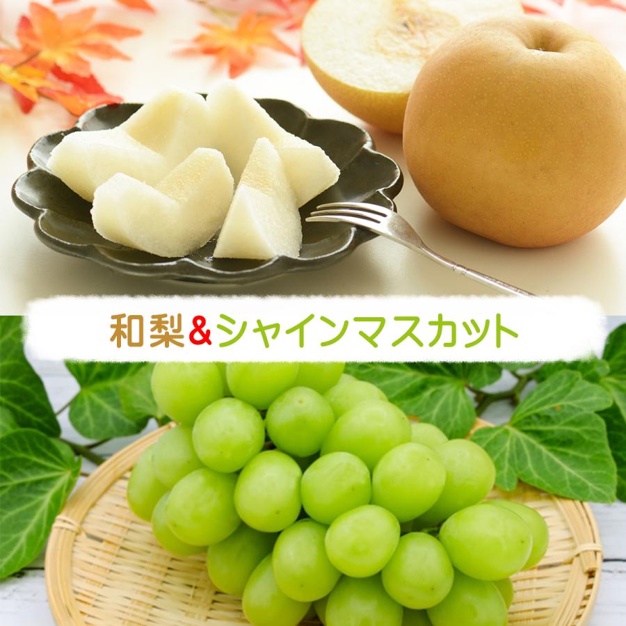 シャインマスカット・梨セット 送料無料 贈り物 ギフト ご家庭用 ご贈答用 プレゼント 種なしぶどう :ku-066-5:鮮ど市場 - 通販 ...