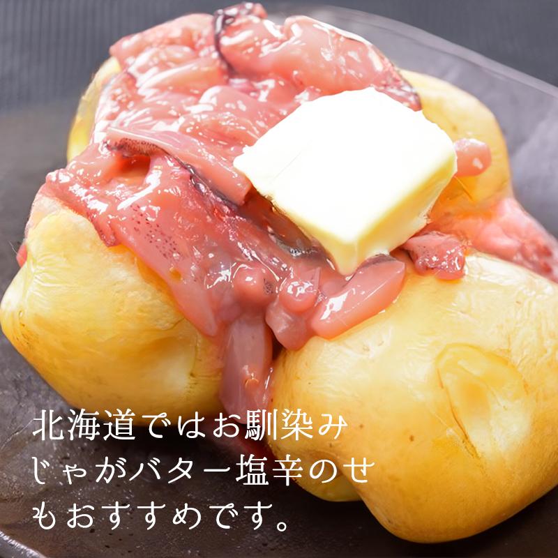 佐藤水産 ごくうま塩辛 110g 3個セット 送料無料 いか しおから お取り寄せ おつまみ 贈り物 ご当地 ギフト : 北海道銘菓 センカランド - 通販 - Yahoo!ショッピング