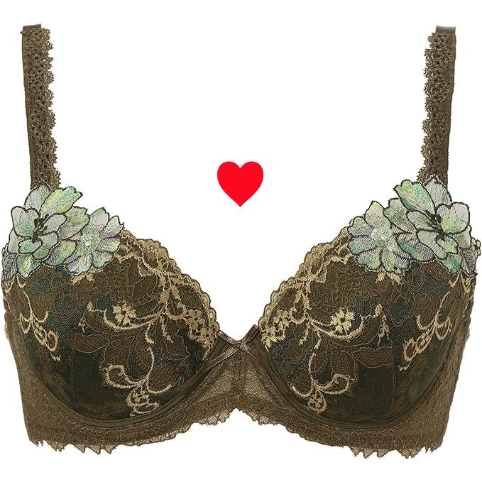 トリンプ プレミアム レッドレーベル0073 ブラジャー レディース B70 : 20240109-25 : TAセントラルショッピング - 通販 - Yahoo!ショッピング