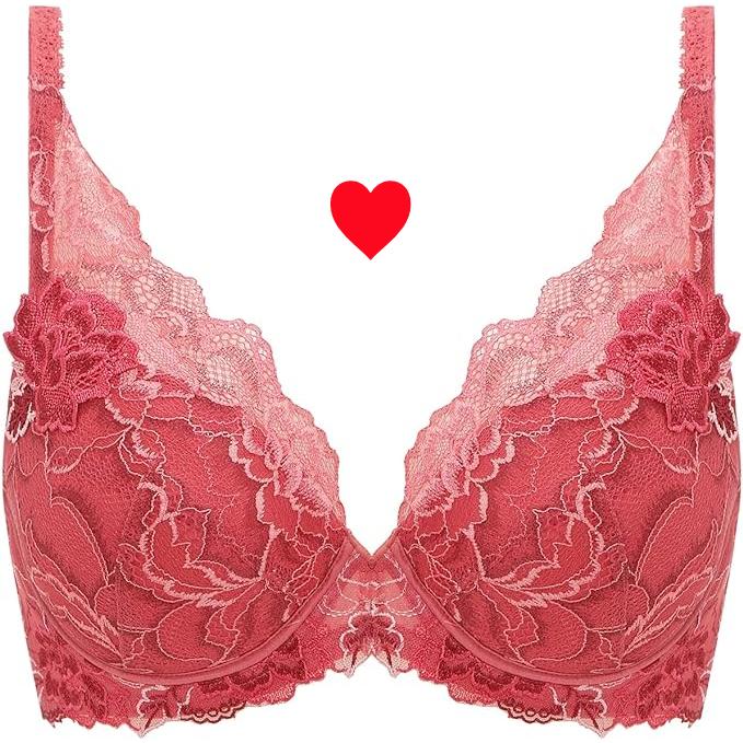 Triumph トリンプ プレミアム レッドレーベル0089 ブラジャー レディース B70 : TAセントラルショッピング - 通販 - Yahoo!ショッピング