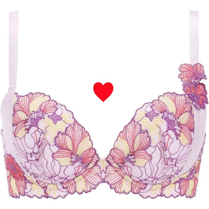 Triumph トリンプ プレミアム レッドレーベル 天使のブラ(R) スリムライン 0091 ブラジャー E75 : TAセントラルショッピング - 通販 - Yahoo!ショッピング