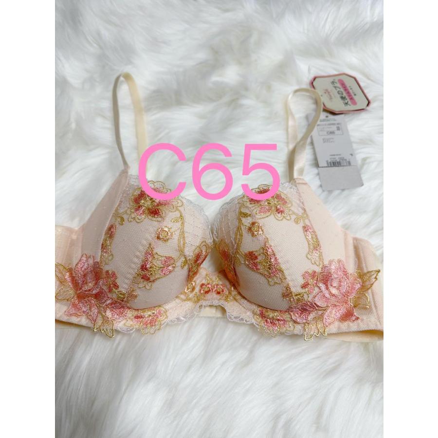 Triumph トリンプ プレミアム レッドレーベル 天使のブラ スリムライン0069 ブラジャー C65 : TAセントラルショッピング - 通販 - Yahoo!ショッピング