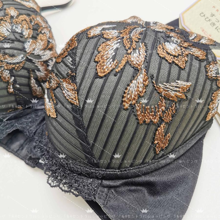 Triumph トリンプ プレミアム レッドレーベル0065 ブラジャー C65 : TAセントラルショッピング - 通販 - Yahoo!ショッピング