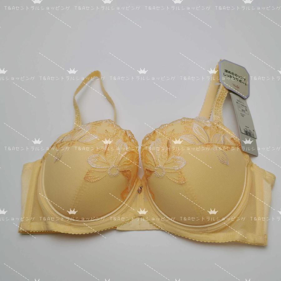 トリンプ トリンプストーリー538 ブラジャー(パッドなし) レディース :20240118-23:TAセントラルショッピング - 通販 - Yahoo!ショッピング