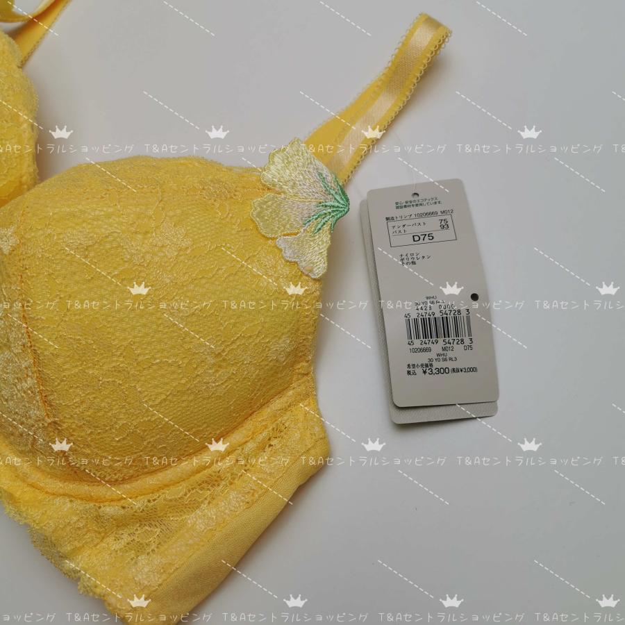 トリンプ AC005 ブラジャー D65 : 20240118-53 : TAセントラルショッピング - 通販 - Yahoo!ショッピング