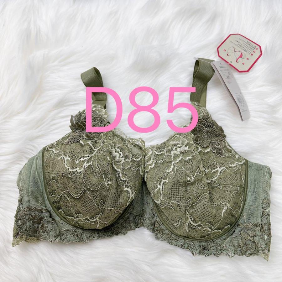 Triumph トリンプ プレミアム レッドレーベル0089 フルカップブラジャー レディース D85 : TAセントラルショッピング - 通販 - Yahoo!ショッピング