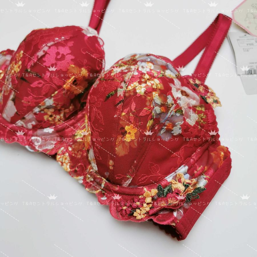 トリンプ プレミアム レッドレーベル0082 ブラジャー(パッドなし) H70 : 20240314-01 : TAセントラルショッピング - 通販 - Yahoo!ショッピング