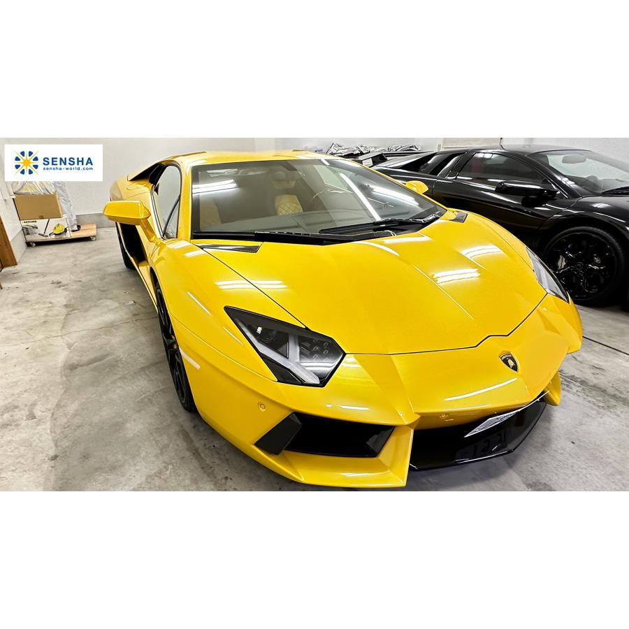 洗車の王国 ヘッドライトフィルム 車検対応 クリア UV ヘッドライト 黄ばみ 防止 PPF 車種別 カット済み フィルム 1set : 洗車の王国 - 通販 - Yahoo!ショッピング