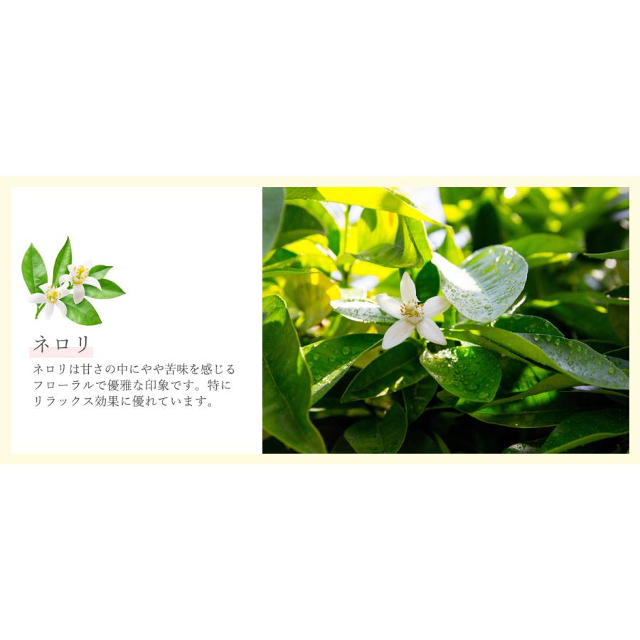 COLUMBUS コロンブス Lumiere ルミエール MOIST CARE モイストケア クリーム :CL-MOISTCARE:こだわりの ...