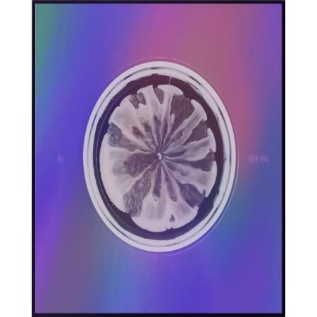 XG / NEW DNA (1ST MINI ALBUM) X VER.[韓国 CD] : 韓国音楽専門ソウルライフレコード - 通販 - Yahoo!ショッピング