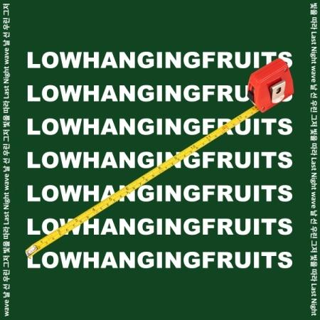 LOW HANGING FRUITS / TODAY FROM PAST DAYS[韓国 CD] :MBMC2121:韓国音楽専門ソウルライフ ...