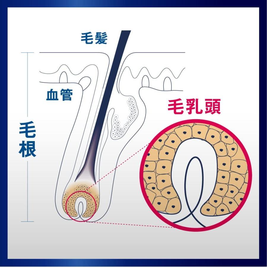 サクセス 薬用毛髪活性 無香料 185g : セラフィーネット Yahoo!ショッピング店 - 通販 - Yahoo!ショッピング