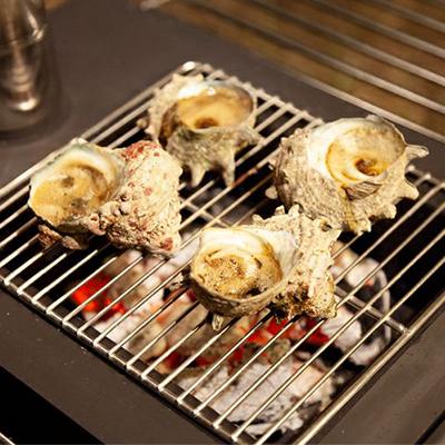 Mt.SUMI COZY専用 チャコールバスケット 2020Locomoコンパクト対応 : TOKILABOYahoo!ショッピング店 - 通販 - Yahoo!ショッピング