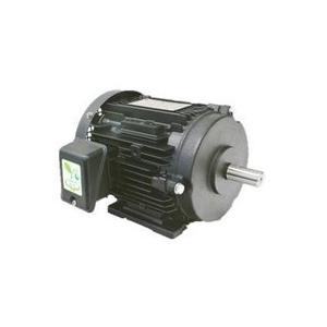 TOSHIBA 東芝 三相モータ IKH3-FBKA21E-2.2KW-6P-AC400V 全閉外扇 屋内仕様 脚取付 ブレーキ無し プレミアムゴールドモートル : 設備プロ王国 - 通販 ...