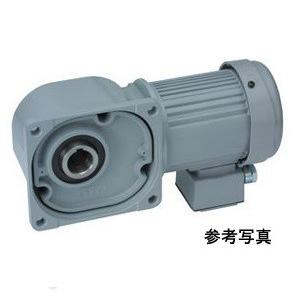 FSM-20-120-T50A ニッセイ ギヤードモーター 中空軸 三相200V フランジ付 標準型 ブレーキ無し 50W : 設備プロ王国 ...