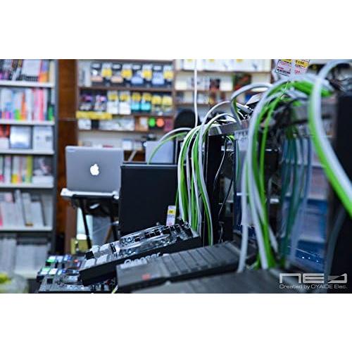 NEO by OYAIDE Elec d+ RTS class B 1.0m ラインケーブル : xb00atkb3r0 : Seven Thousandストア - 通販 - Yahoo!ショッピング