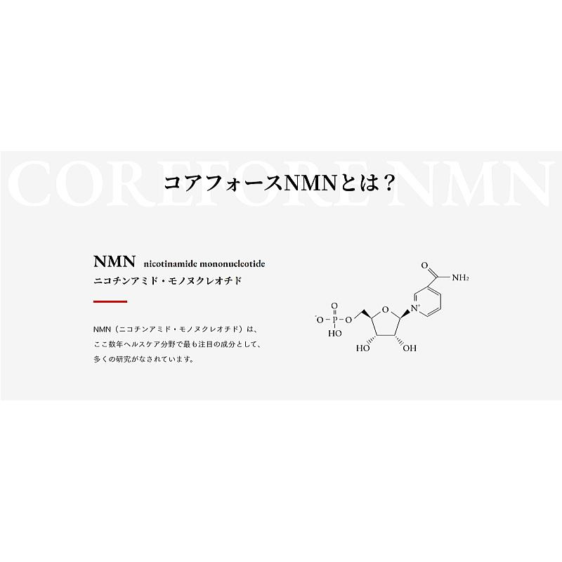 COREFORCE コアフォース NMN サプリメント 120粒入り NMNサプリメント 健康サプリメント 健康食品 NMNサプリ 国内製造 日本製 スポーツ アスリート コアホース ...
