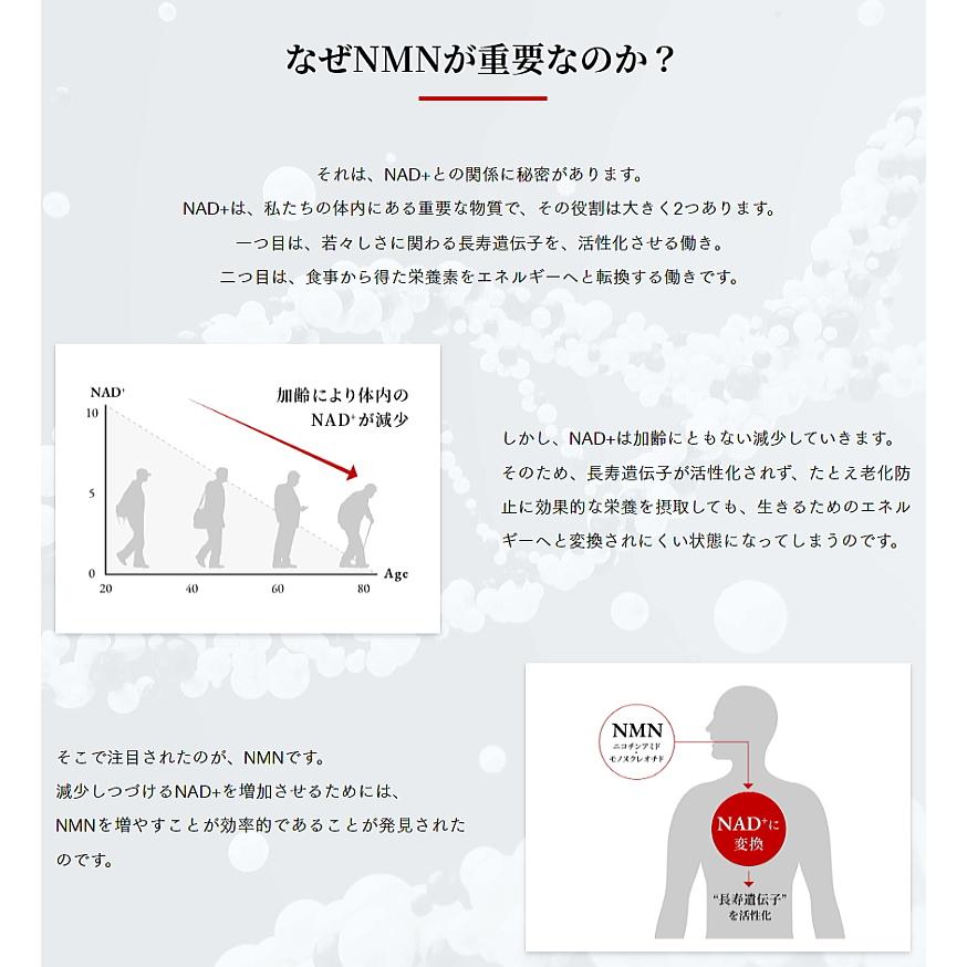 COREFORCE コアフォース NMN サプリメント 120粒入り NMNサプリメント 健康サプリメント 健康食品 NMNサプリ 国内製造 日本製 スポーツ アスリート コアホース ...