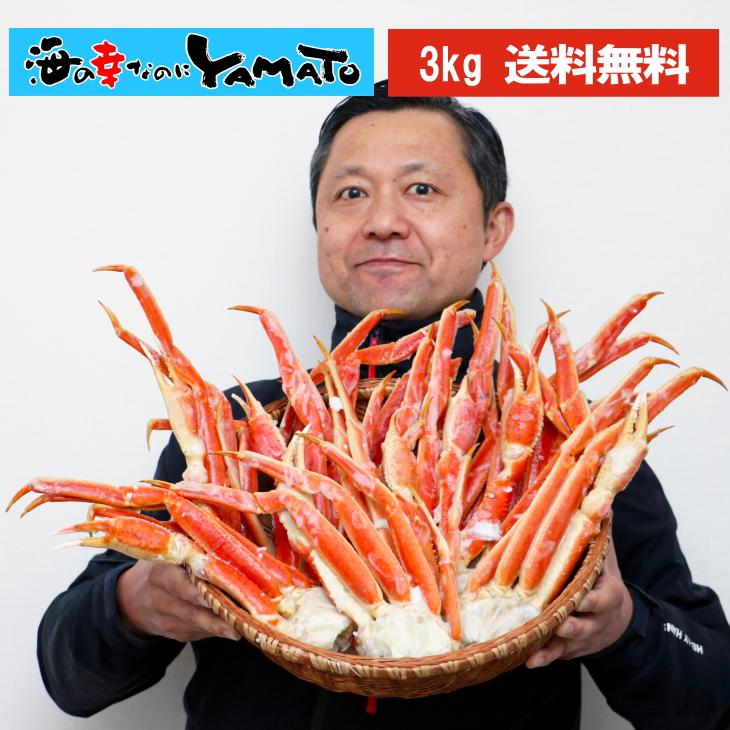 【1kg当たり3,999円！】 メガ盛り3kg！大型L・2Lサイズのボイル本ズワイ蟹脚 10肩前後 + 折れ蟹 船上凍結ワンフローズン ずわいがに ズワイガニ : 海の幸なのにYAMATO ...