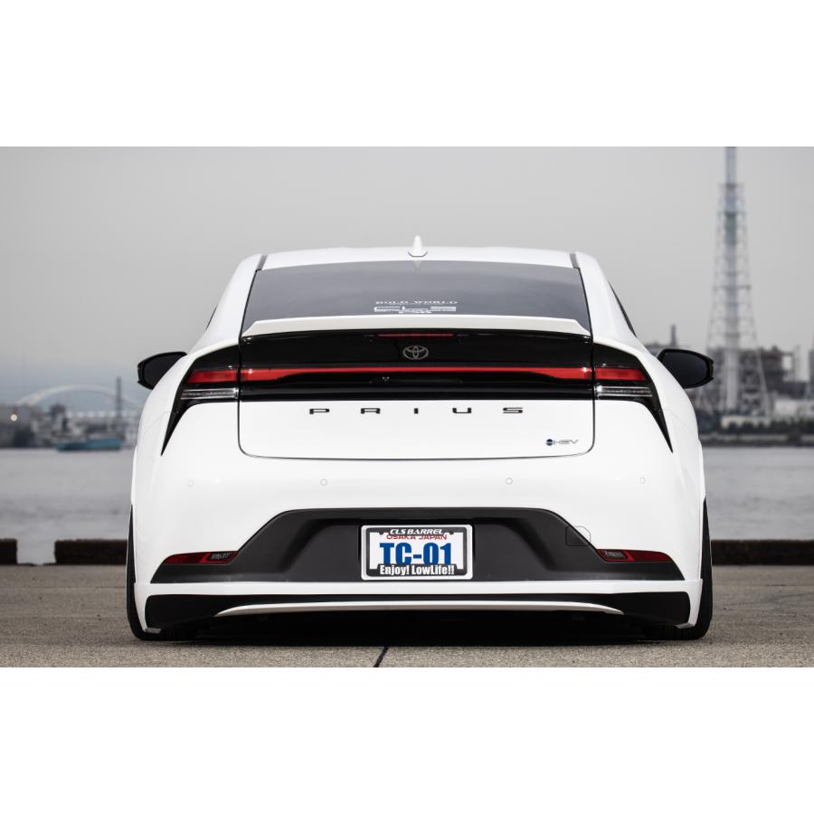 ESB/イーエスビー（CLS/RM)【リアウイング】60プリウス : SFTショッピング - 通販 - Yahoo!ショッピング