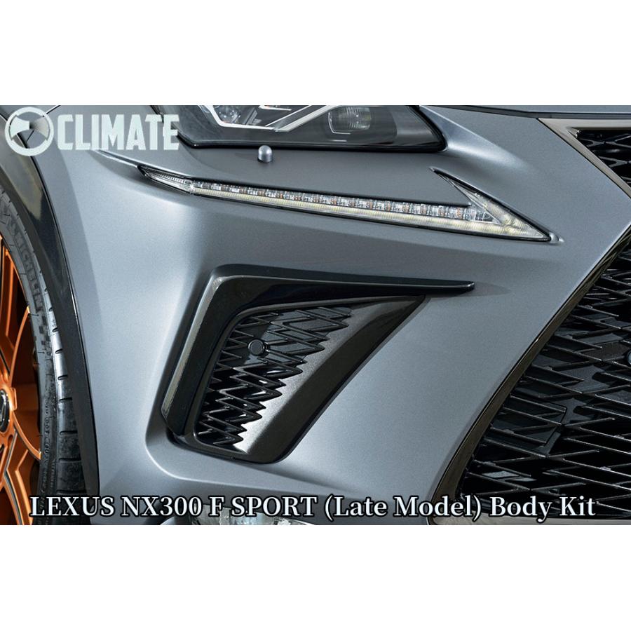 NX300後期Fスポーツ フロントダクトガーニッシュ未塗装【クライメイト/CLIMATE】 : エスエイチカンパニー - 通販 - Yahoo ...