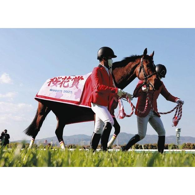 リバティアイランド(オークスVer!) ぬいぐるみ Mサイズ 競馬 リバティアイランド(オークスVer!) ぬいぐるみ Mサイズ 競馬