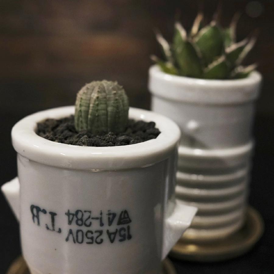 SOCKET POT ミニ 植木鉢 真鍮 受皿付 2号 2.5号 陶磁器 シンプル おしゃれ ブラス 個性的 塊根 アガベ 小さい レトロ ...
